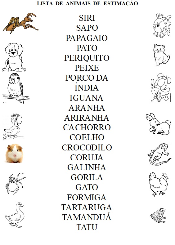 Espaço trans formar: Lista : animais de estimação