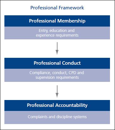 Professional Judgment Matters: Developing a framework for “Professionalism”
