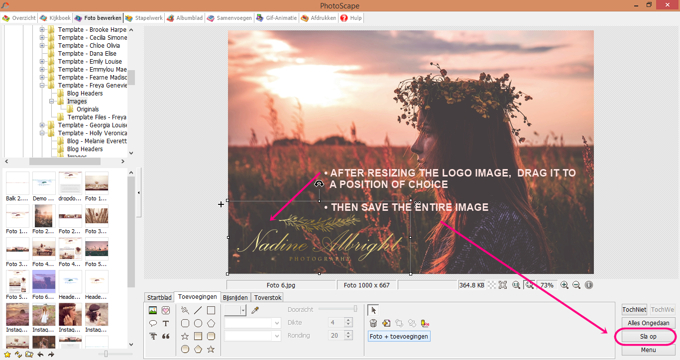 Dutch Lady Logo Guide: Logo On Photo