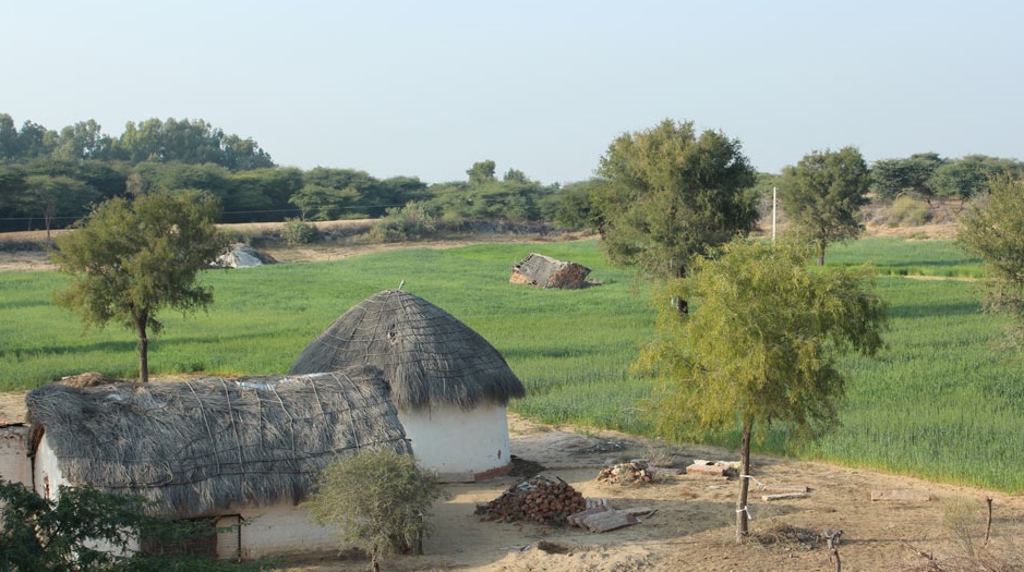 EduCARE India NGO: Food Security through small-scale Sustainable Desert ...