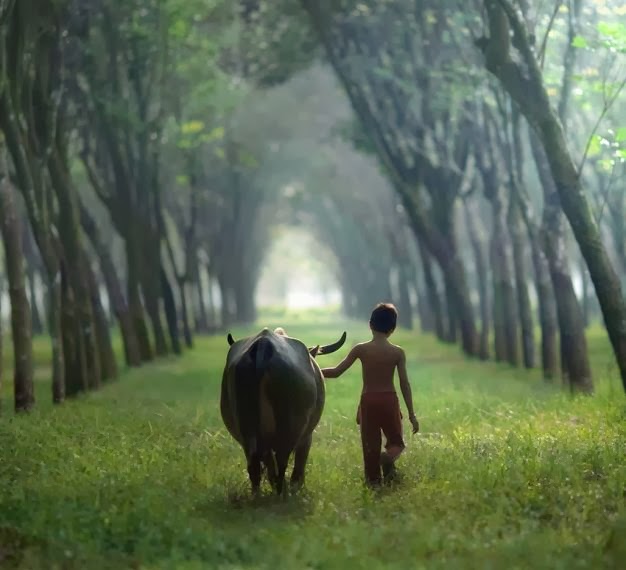 Daily Life Photography ~ Big Wave Sharing