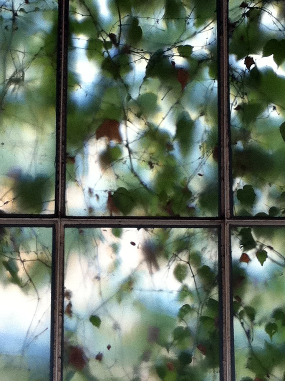 For the Love of Line: Window Panes