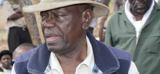 MUTASA EYES ZANU PF RETURN | Mafaro