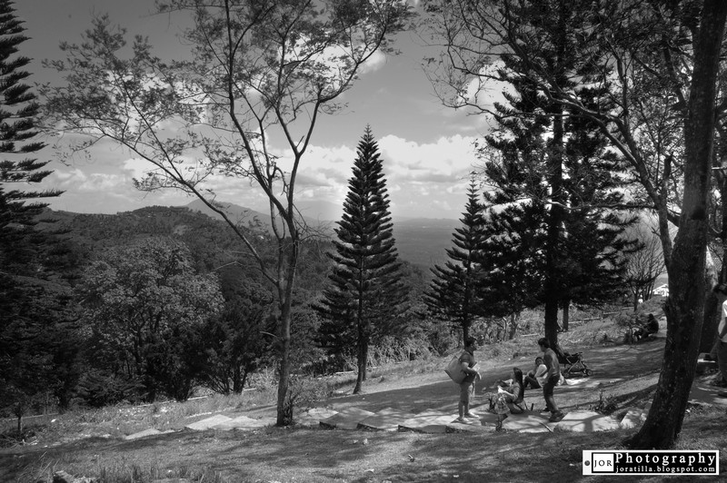 Light Drawing: Tagaytay Picnic-Grove-Philippines