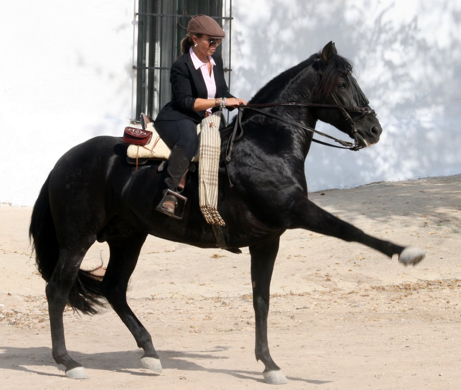 ANDALUSIANS DE CALDERON