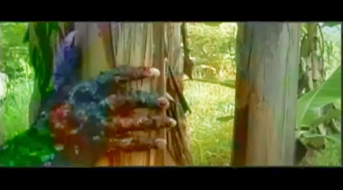 leyendas y mitos: El tunche