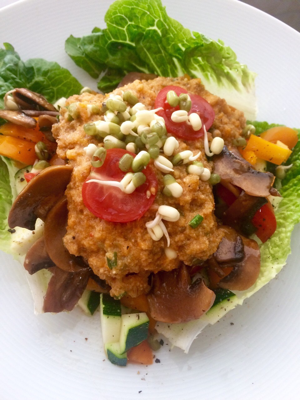 Michal Shark: PROČ NEJÍM MASO