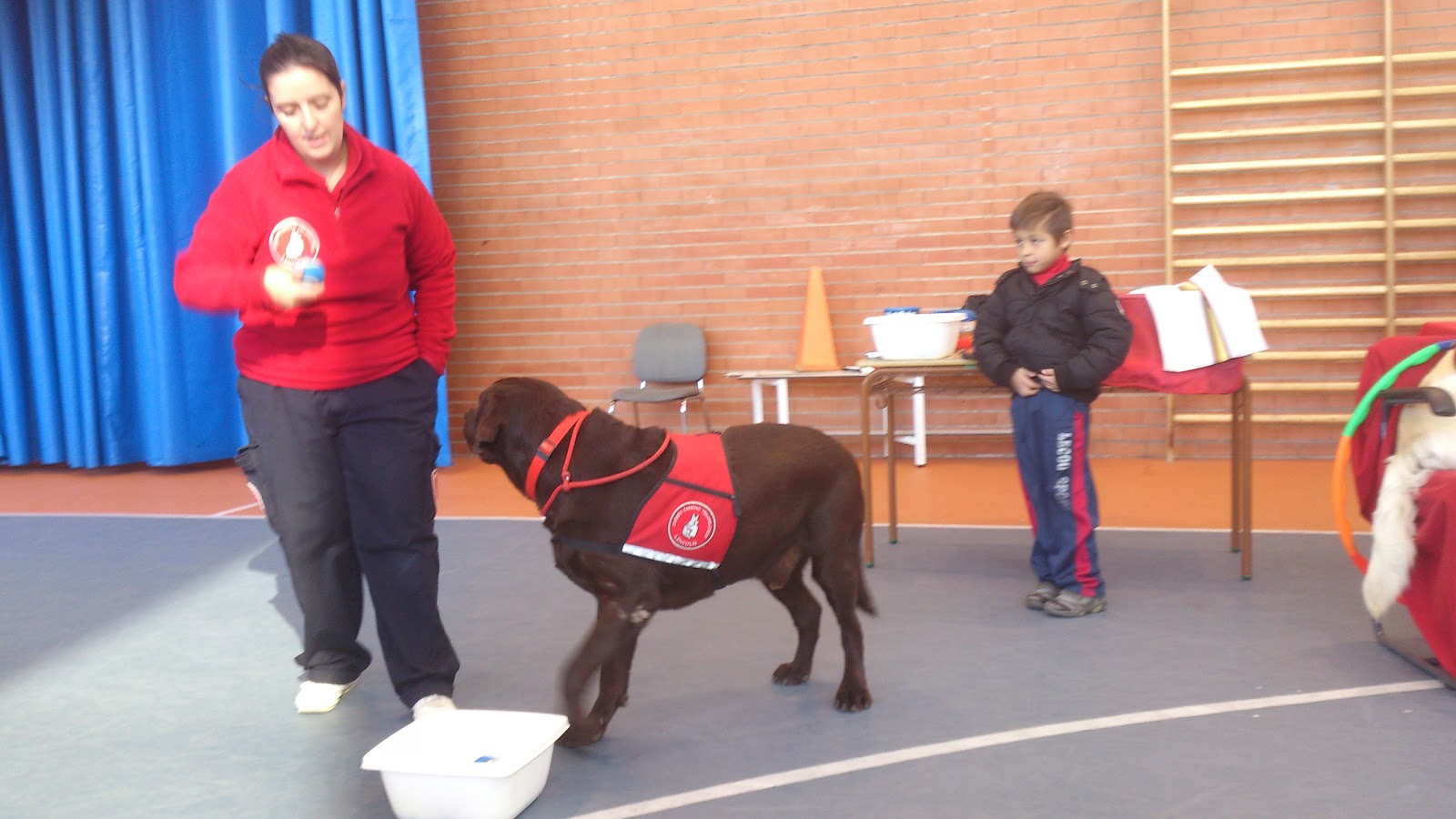 Mil recursos: TERAPIA CON PERROS