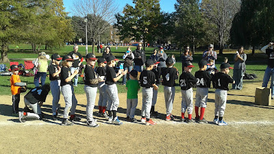 The Chicago Real Estate Local: River Bandits win 8U Welles Park 2015 ...
