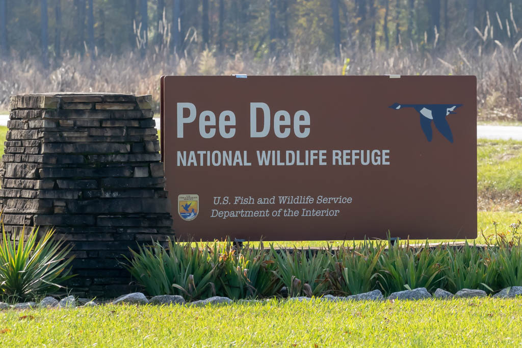 T & L Adventures: Pee Dee National Wildlife Refuge, North Carolina: 11 ...