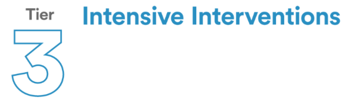 Explanation of Tier 3