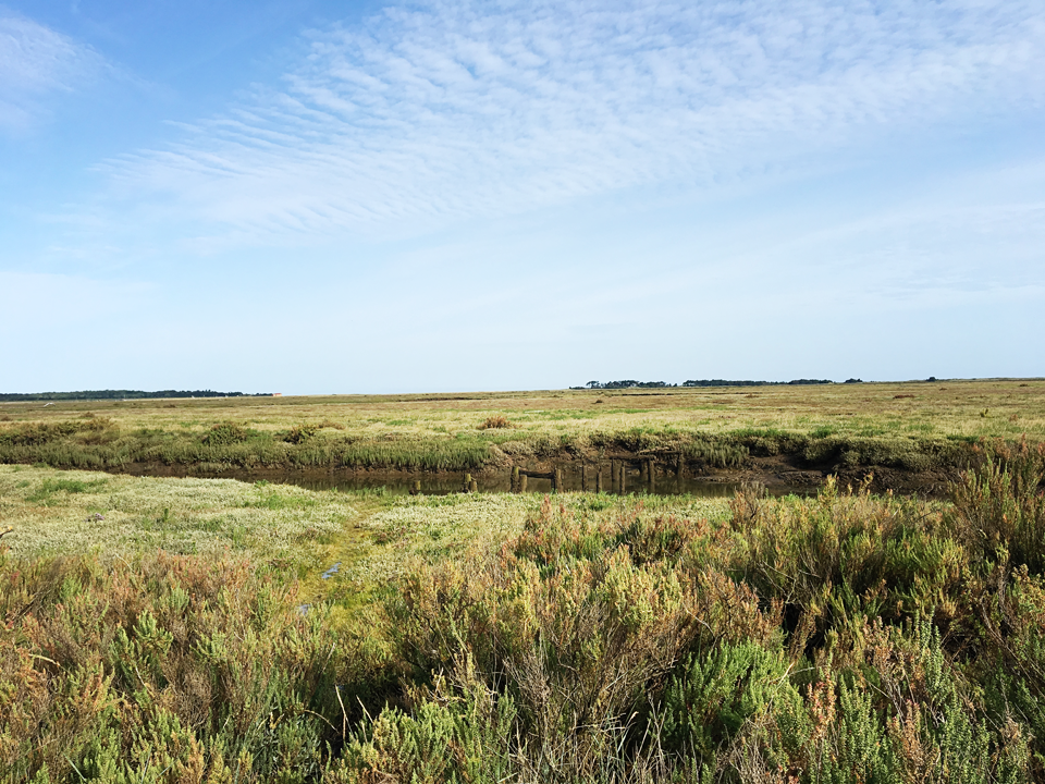 Walks, Wanderings, and Ramblings: Wells-next-the-Sea to Stiffkey (Stage ...