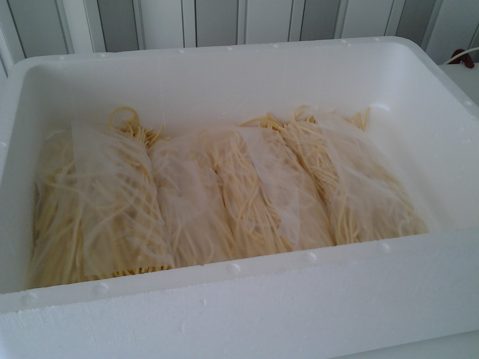 Pasta Fresca Freezer Pasta Fresca Freezer Vaschette Da 6 Kg