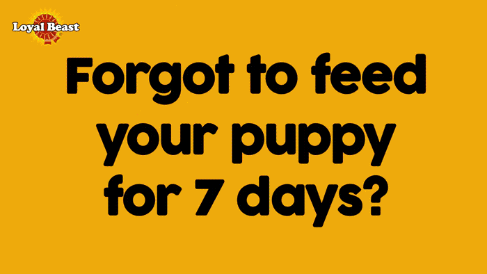 gif bag: Ramsay Bolton's dog food gif bag: Ramsay Bolton's dog food
