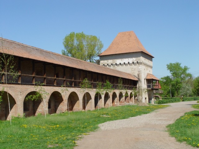 TUDOR PHOTO BLOG: Cetati si Castele din Transilvania,Romania,Europa