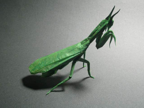 Amra Sabai Raja: Insanely Detailed Origami Insects