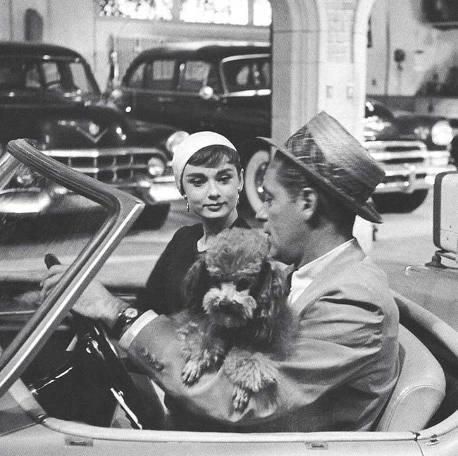 Car Information The time renowned beauty inside car ~ Car Information