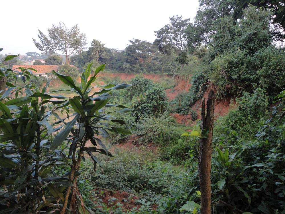 Simon in Uganda: First Impressions