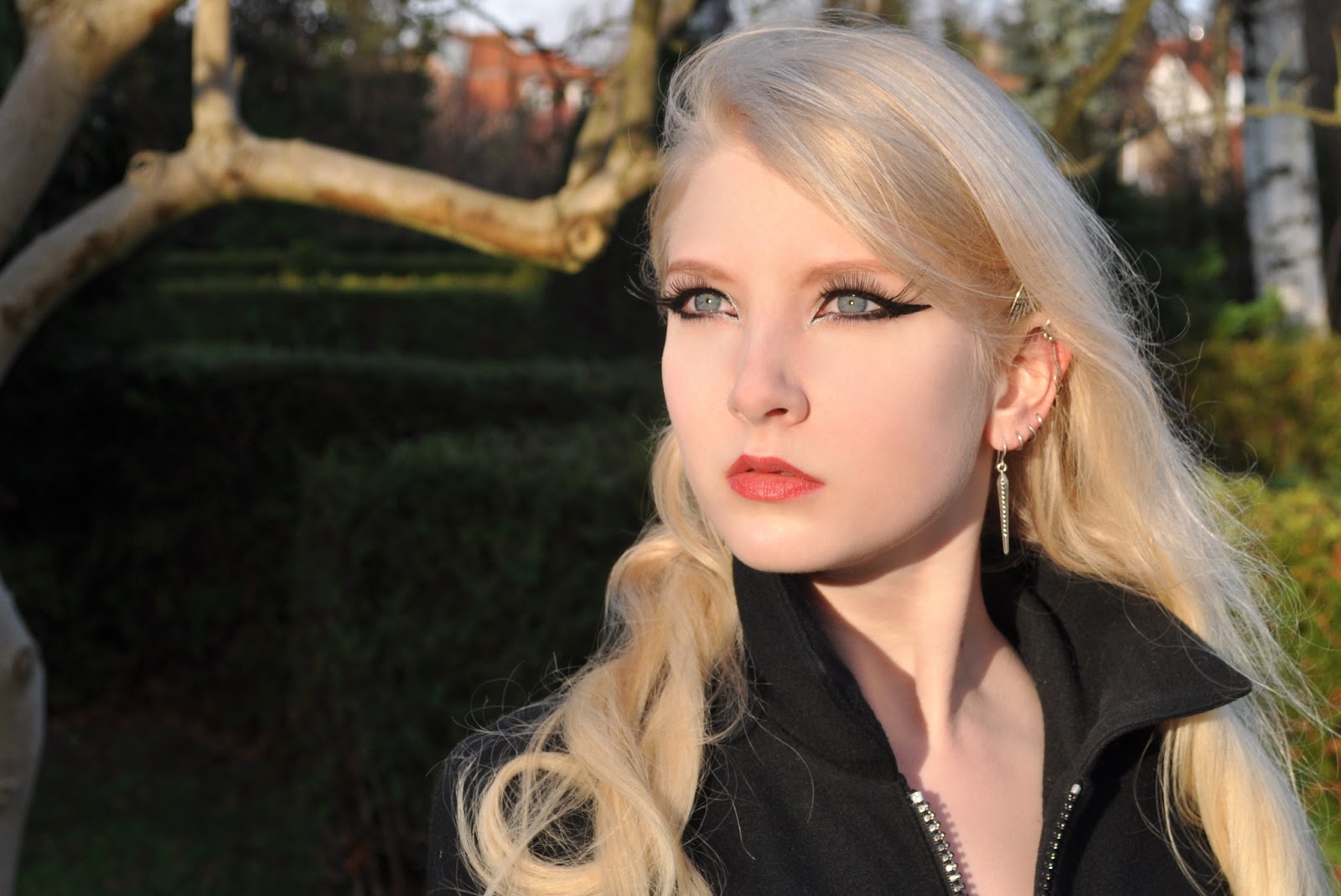 ABBY DESIGN: LA RAZA EUROPEA (RAZA ARIA), CARACTERÍSTICAS Y ORÍGENES