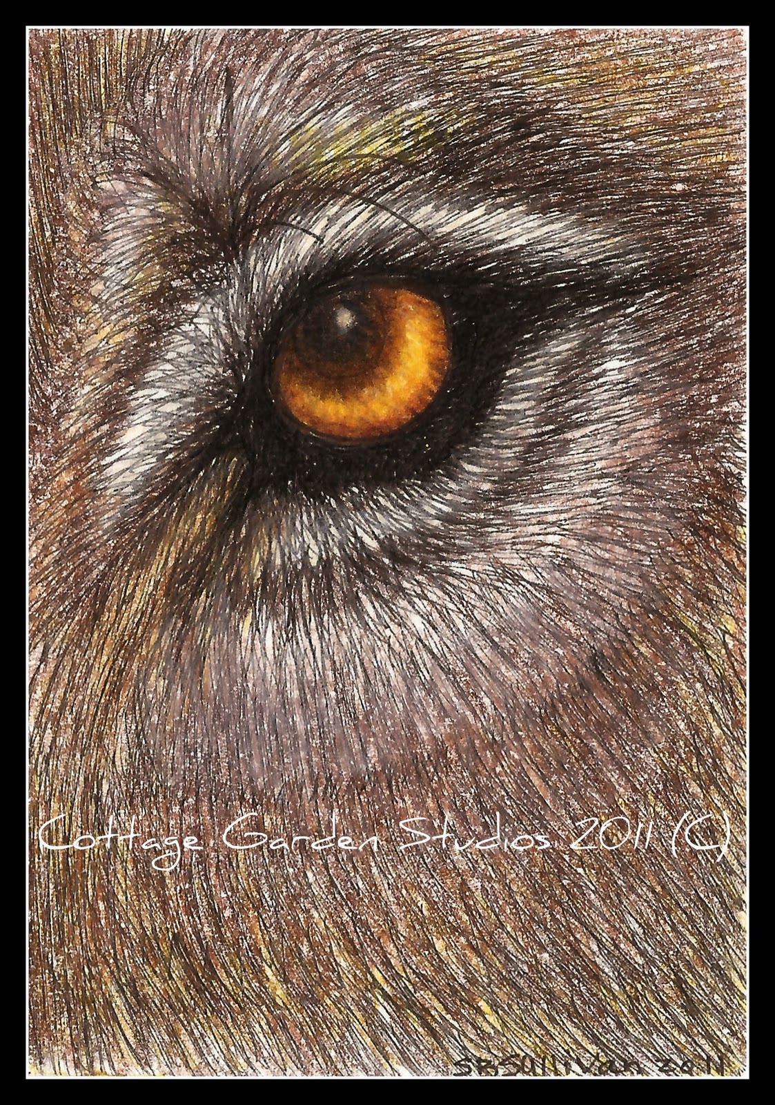 Cottage Garden Studios Market