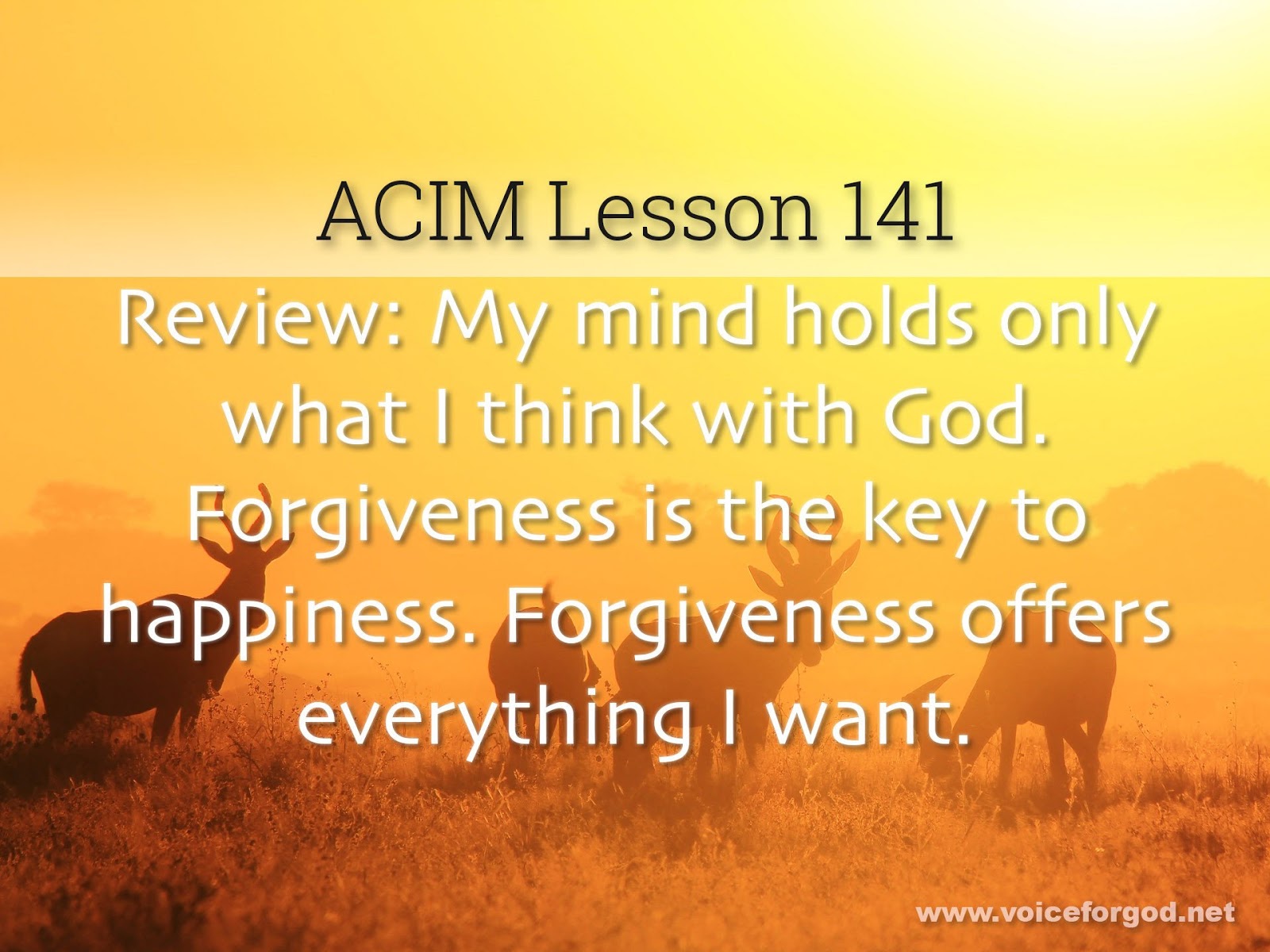Miracle Life: ACIM Workbook Lesson 141