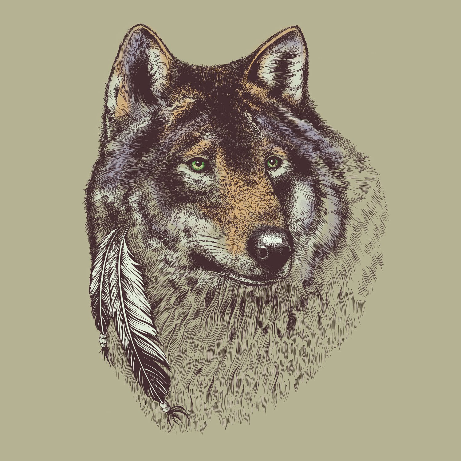Thirsty Fly: Wolf ink drawing, digitally colored