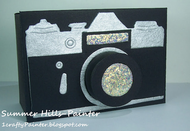 1craftyPainter: Camera Box and Mini Album
