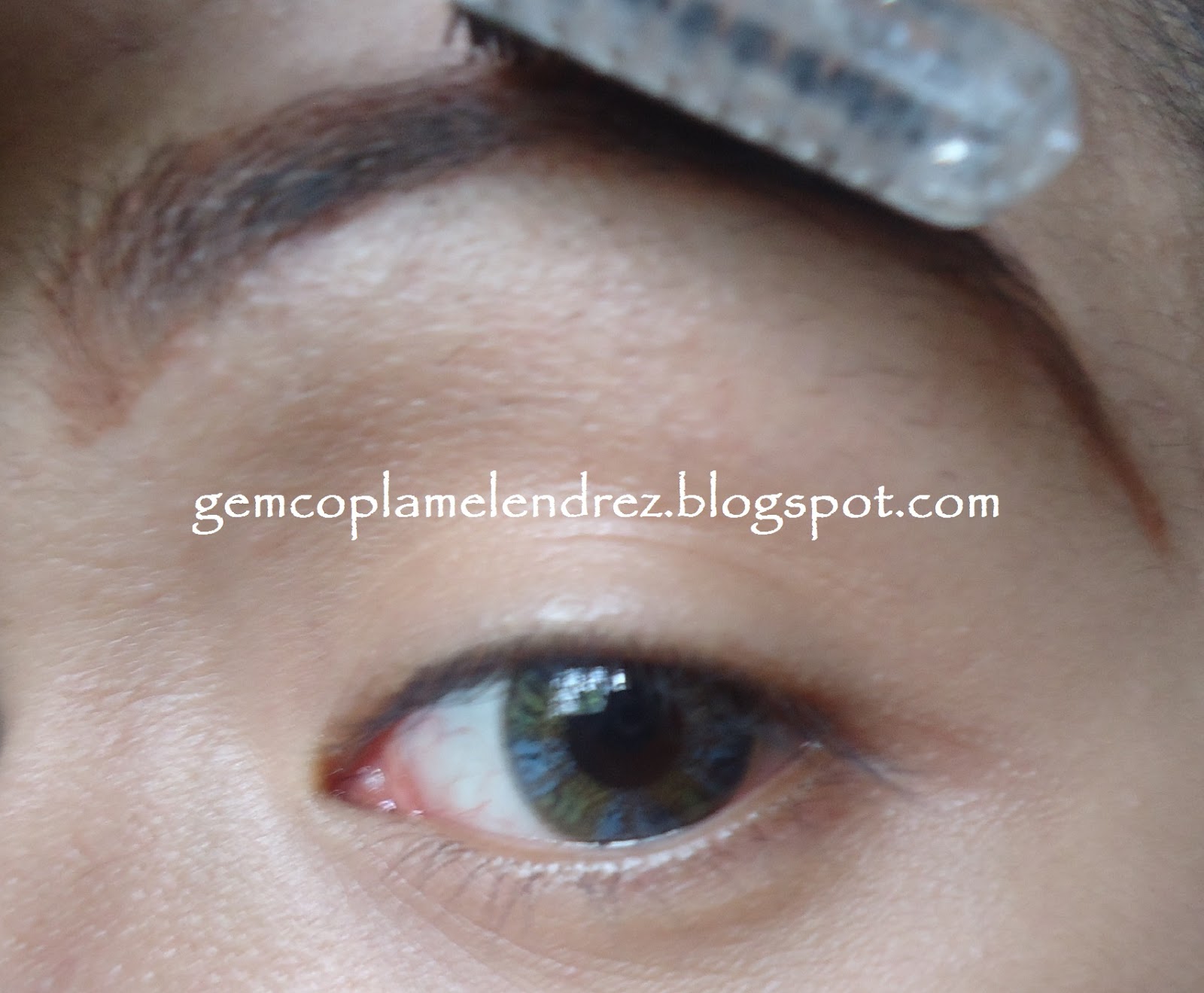 BekiBeautyBlog | Gem Stoelzaed: My Basic Brow Routine! PLUS Review on ...