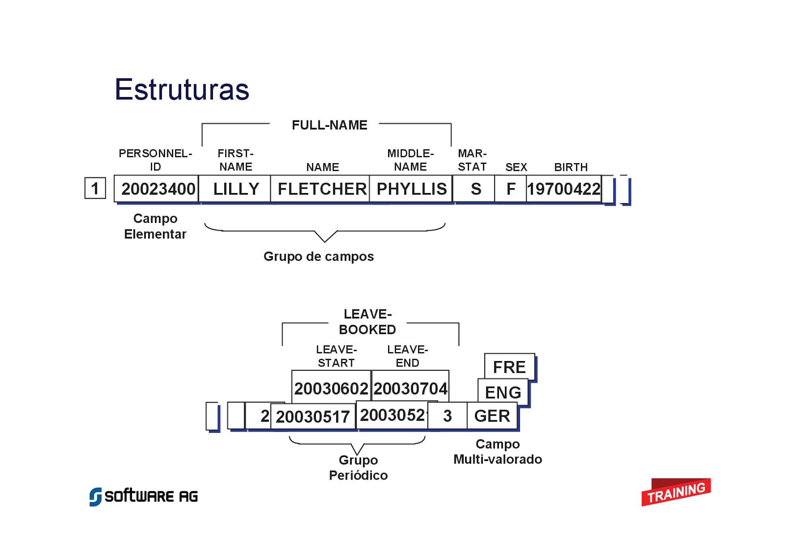 Adabas Fundamentos ~ Adabas Mainframe