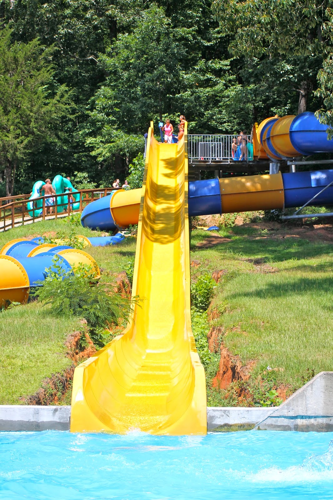 grass stains: Spring Valley Beach