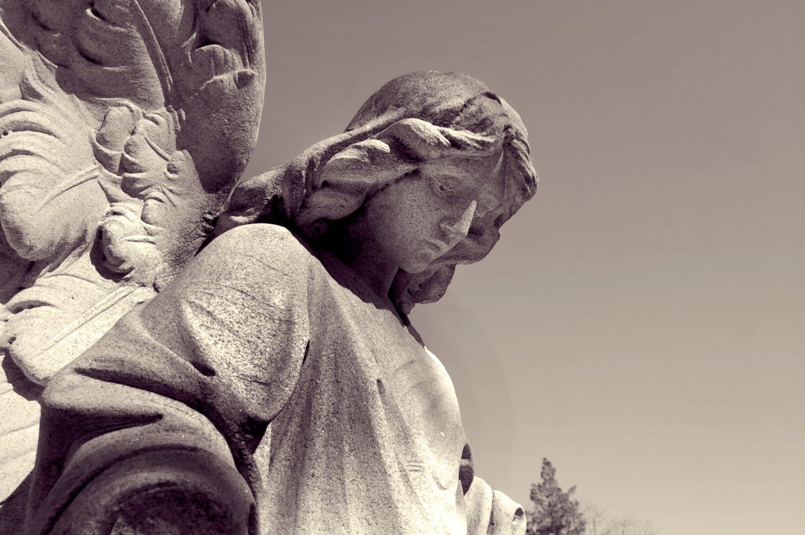 Angel Hakamiah 4 al 8 Junio