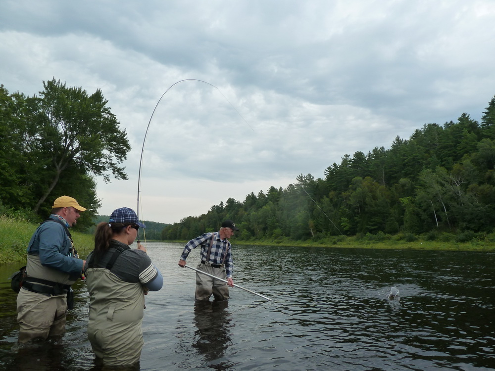 Rod's Miramichi Fishing Reports: Ideal August conditions on the Miramichi