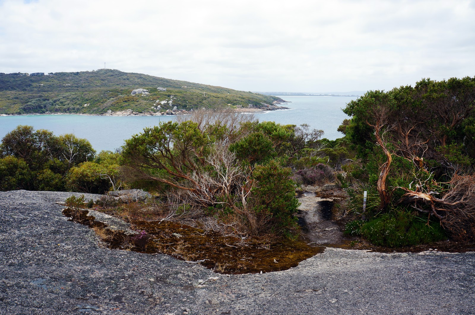 Point Possession Heritage Trail (Quaranup) ~ The Long Way's Better