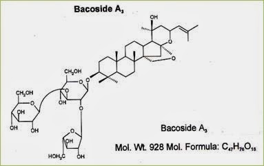 El Jardín de Judith: BACOPA PARA MEJORAR LA CONCENTRACIÓN