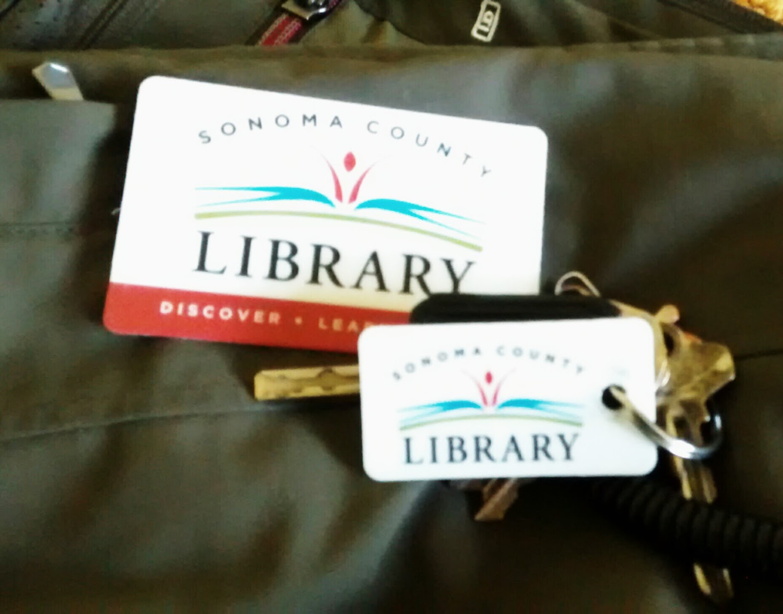 CynthiaParkhill: May 2017