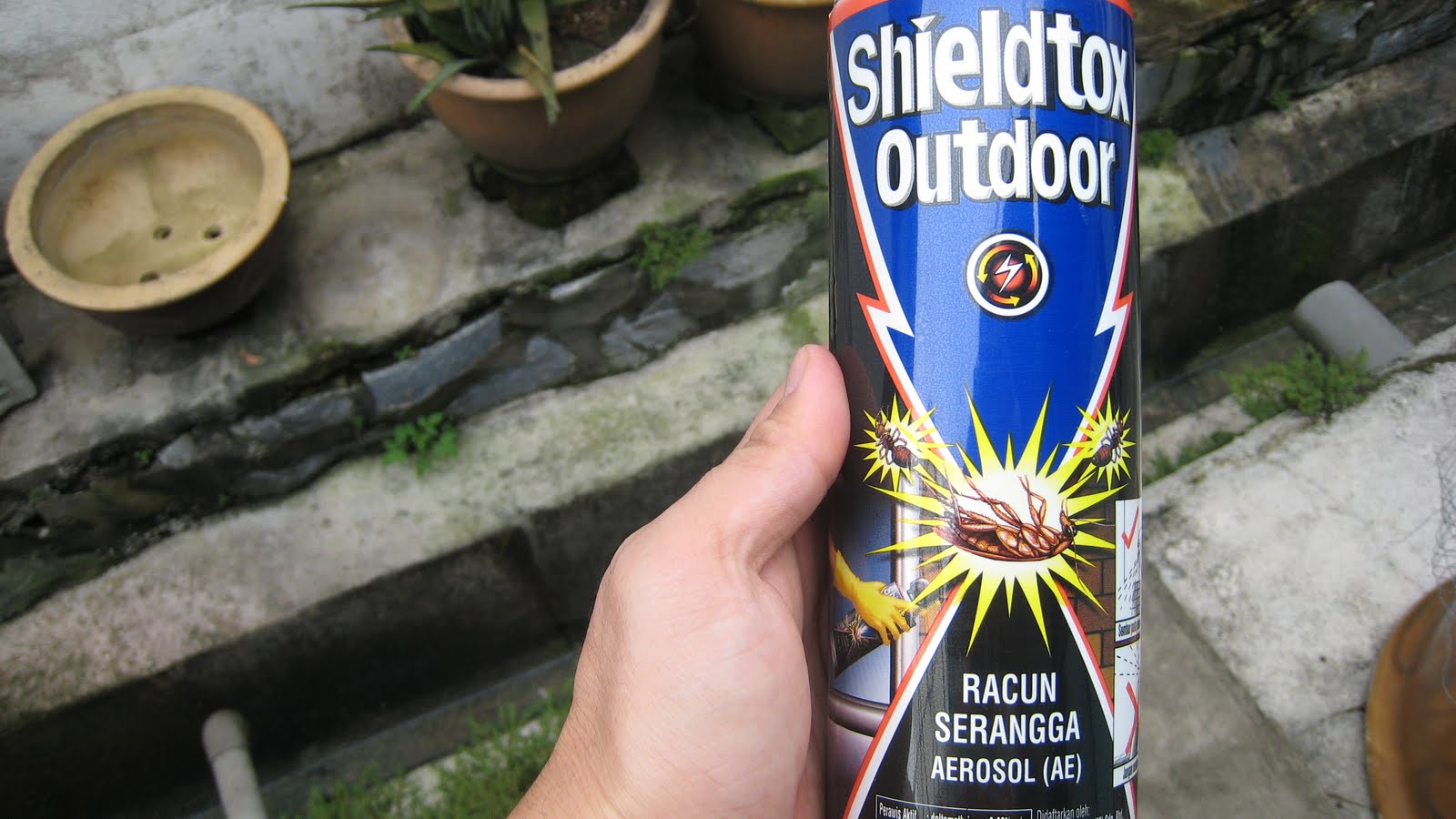 New Kid on the Blog: Shelltox outdoor