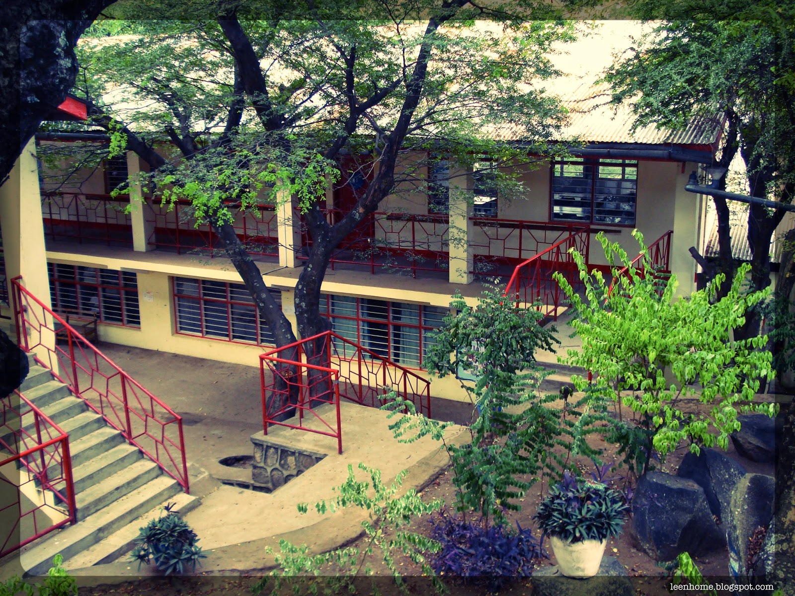 getting our groove back. | From Tanzania With Love