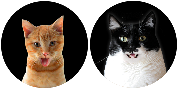 GLOGIRLY: Sunday Shout Out