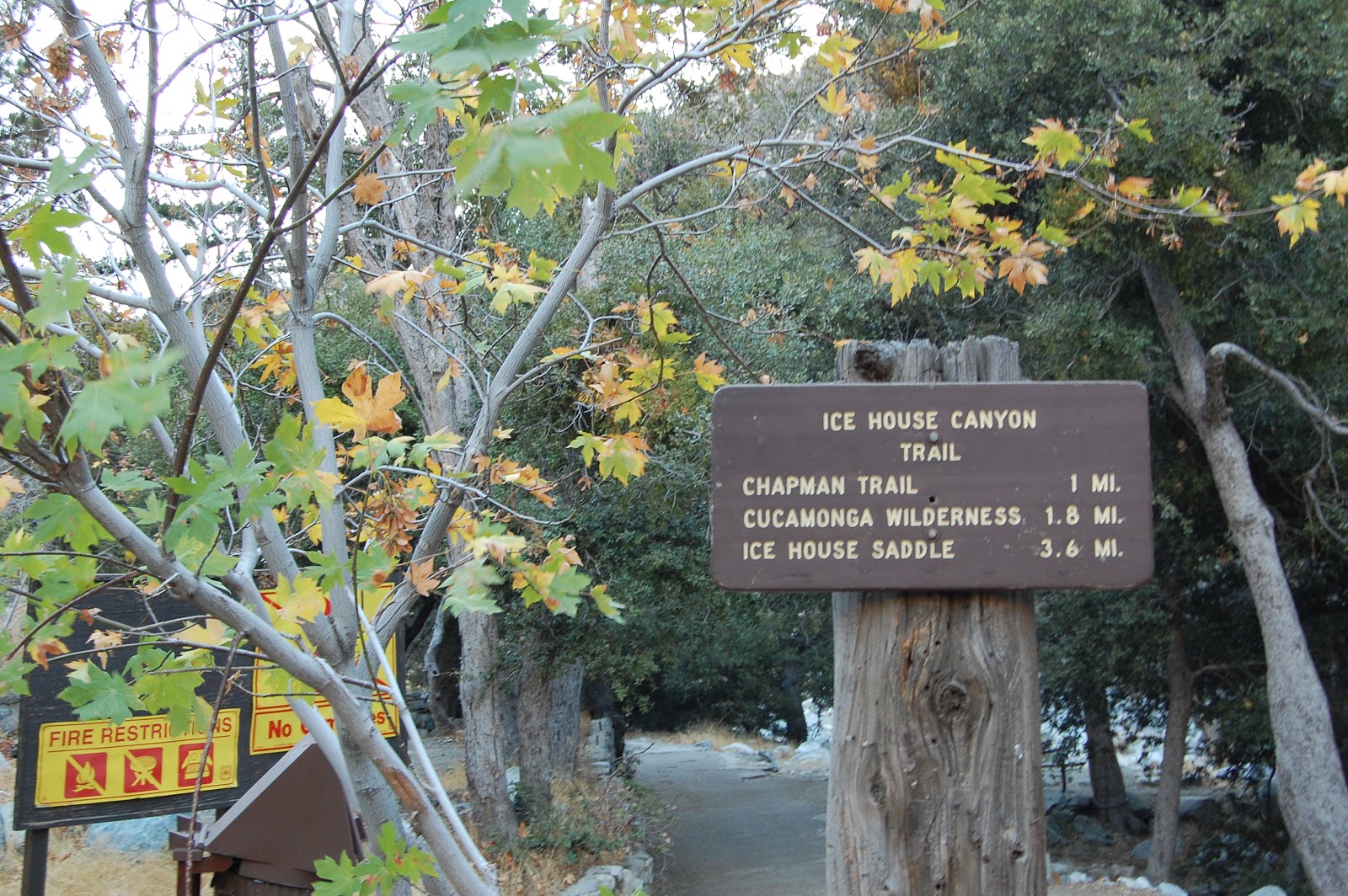 Hiking Timber Mountain | East West Hike