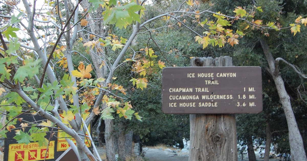 Hiking Timber Mountain | East West Hike