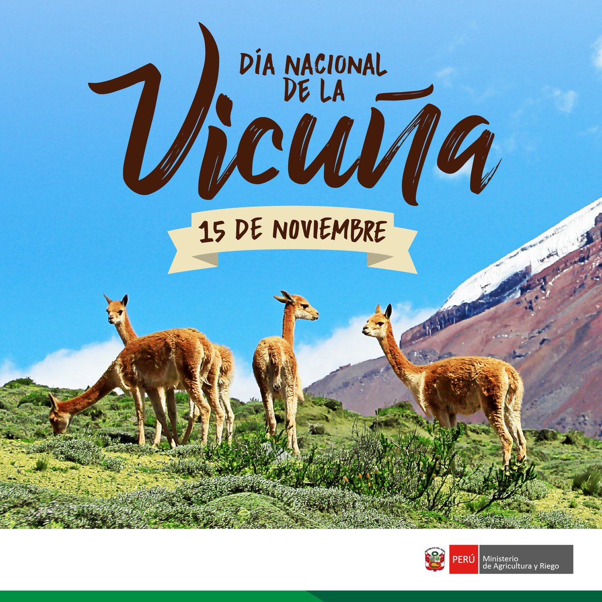 Piura,Lambayeque,La Libertad,Cajamarca,Ancash Importaciones ...