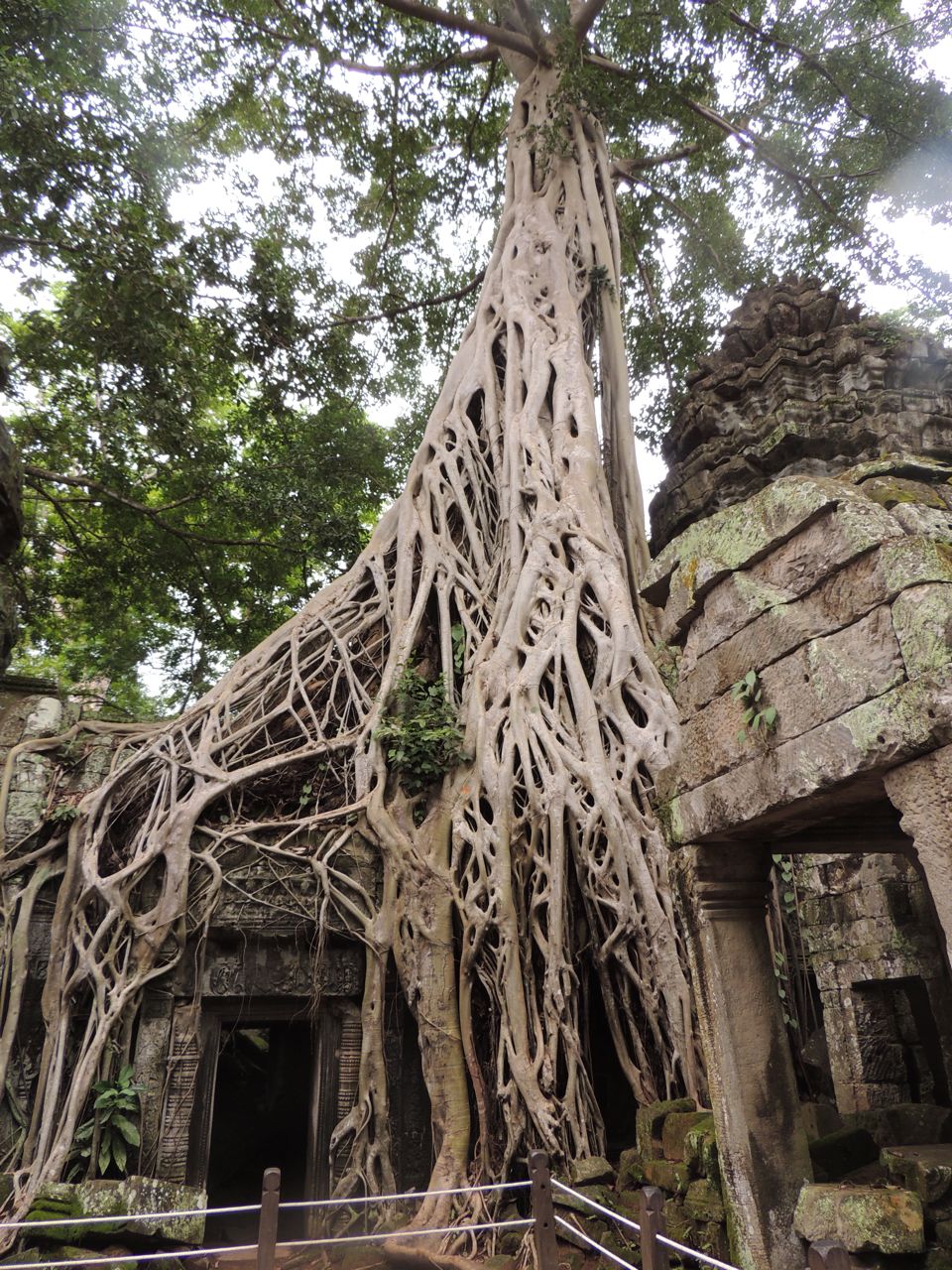 Angkor What?: Temples and Tattoos