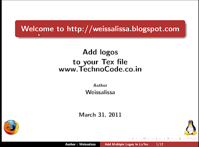 Wadix Group: Add multiple logos in LaTex