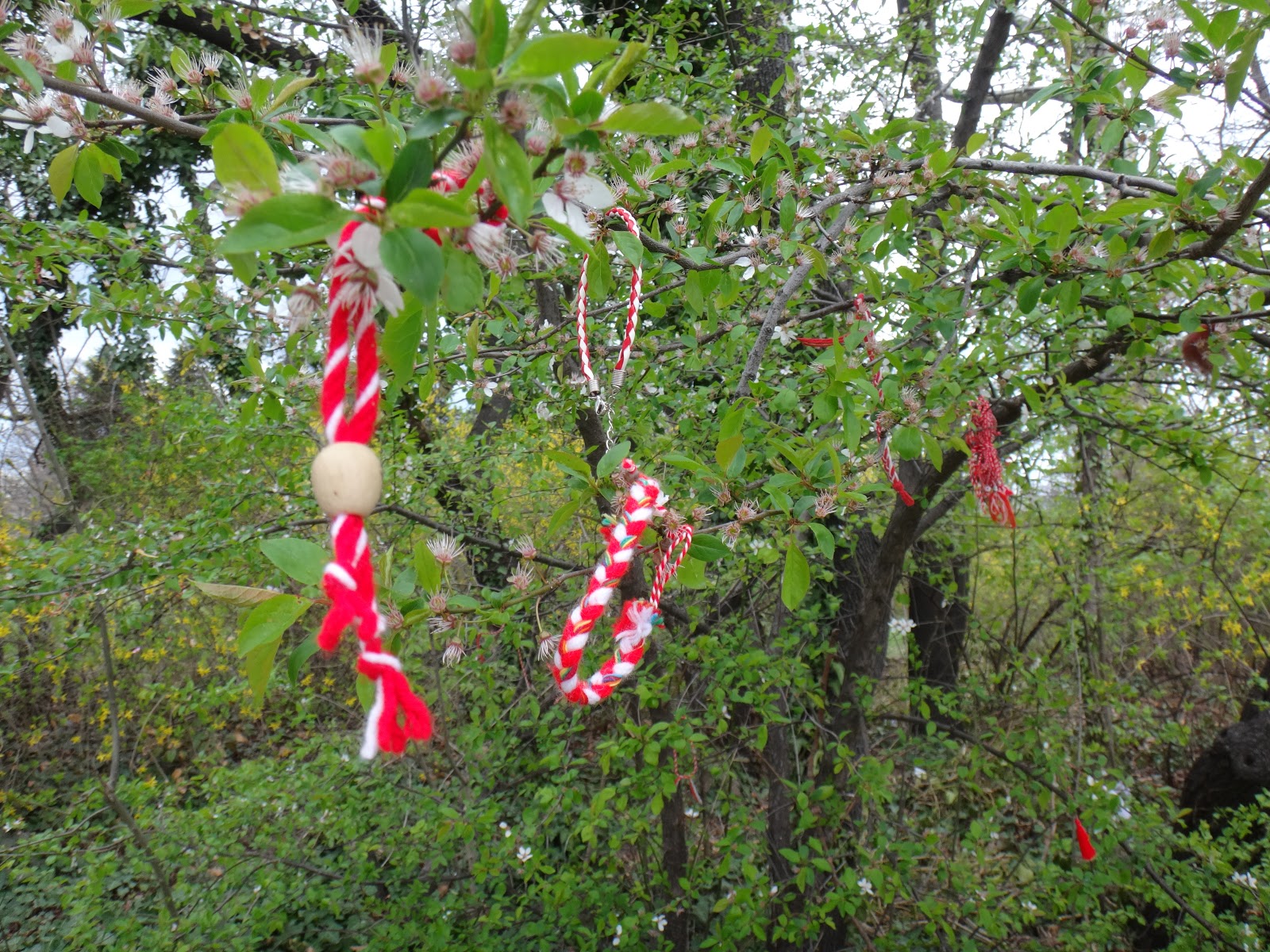 My life in Canada : Bulgarien - Marteniza