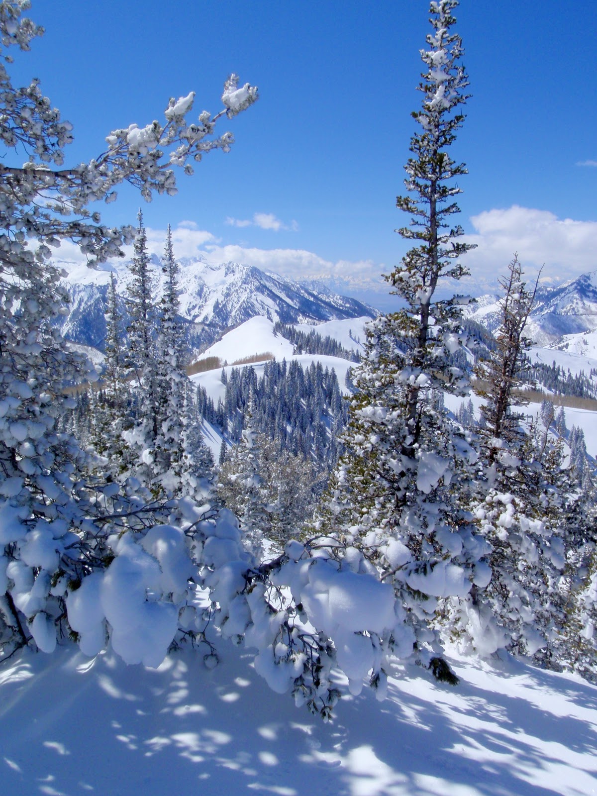 Aaron Wilson Photography: Winter in the Wasatch