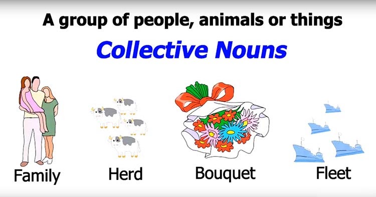 Collective Noun (সমষ্টিবাচক বিশেষ্য) - English Grammar A To Z