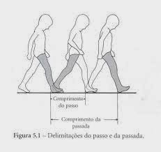 Blogão de Fisio: ANÁLISE DA MARCHA