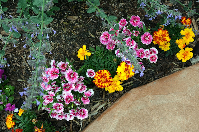 Mille Fiori Favoriti: Springtime In Colorado