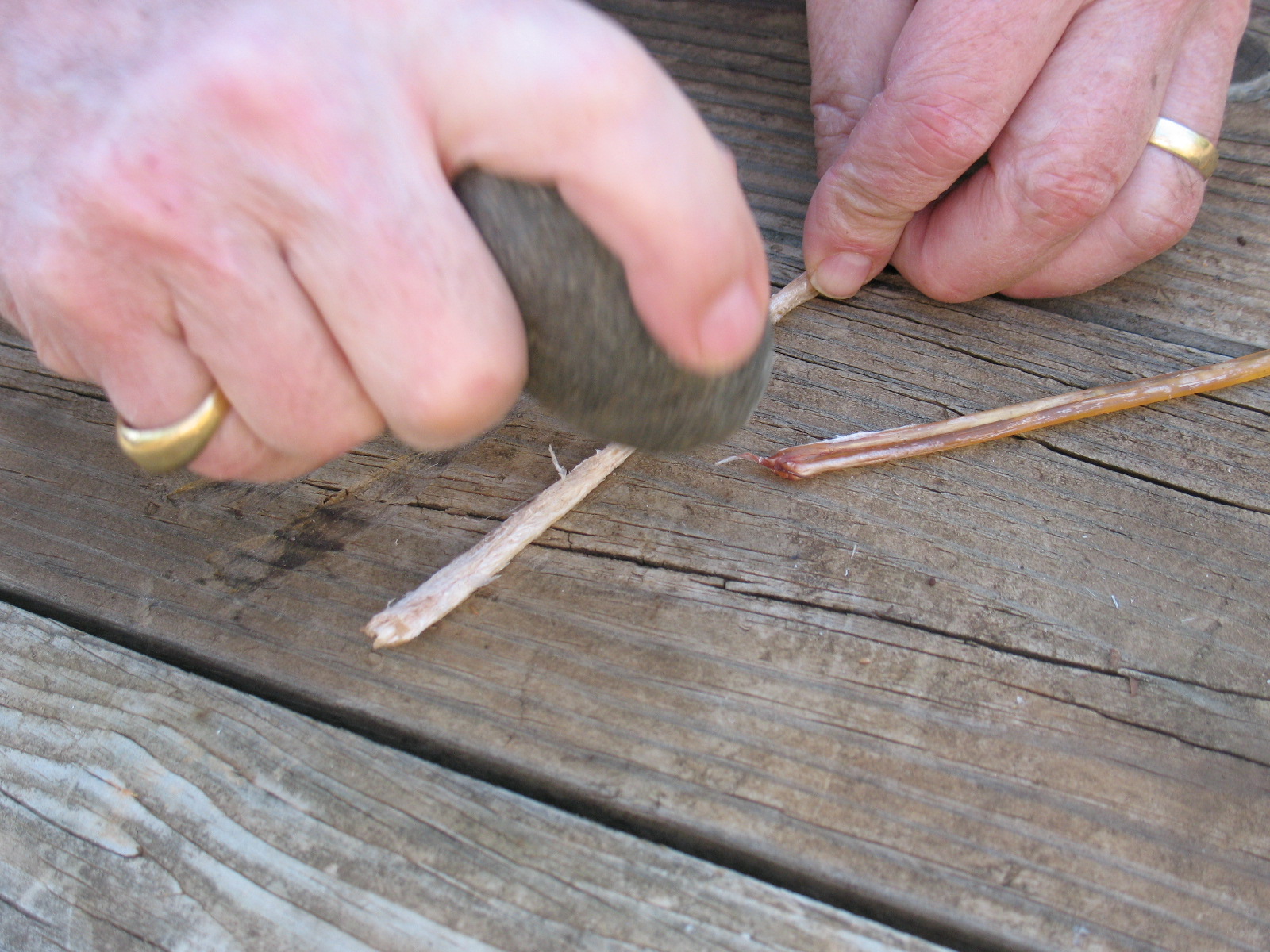 Sensible Survival: Preparing and Using Sinew