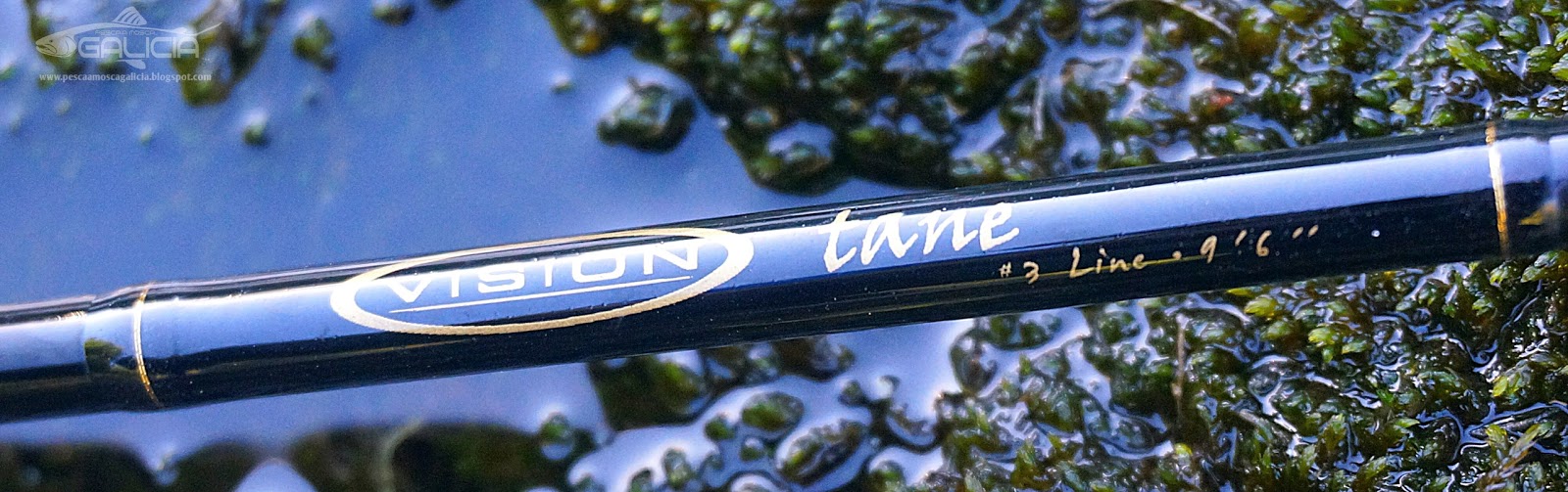 Pesca a Mosca Galicia: VISION TANE REVIEW